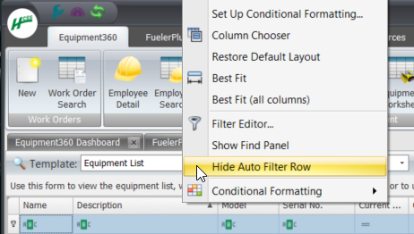 How to Hide or Display the Auto Filter Row